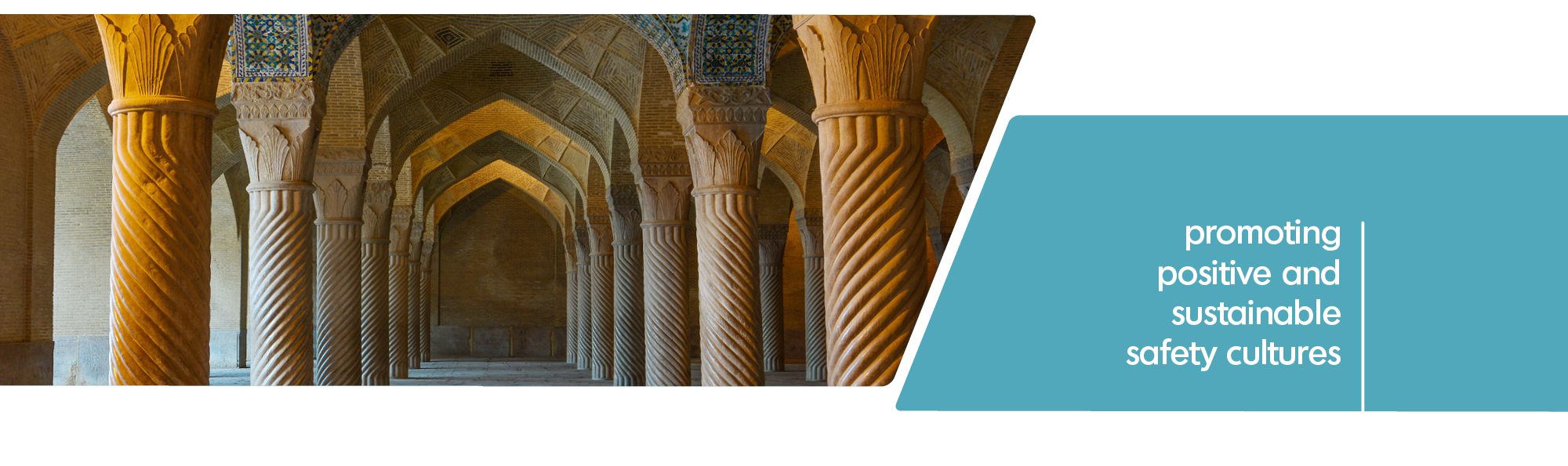 EHS Global - Promoting positive safety cultures